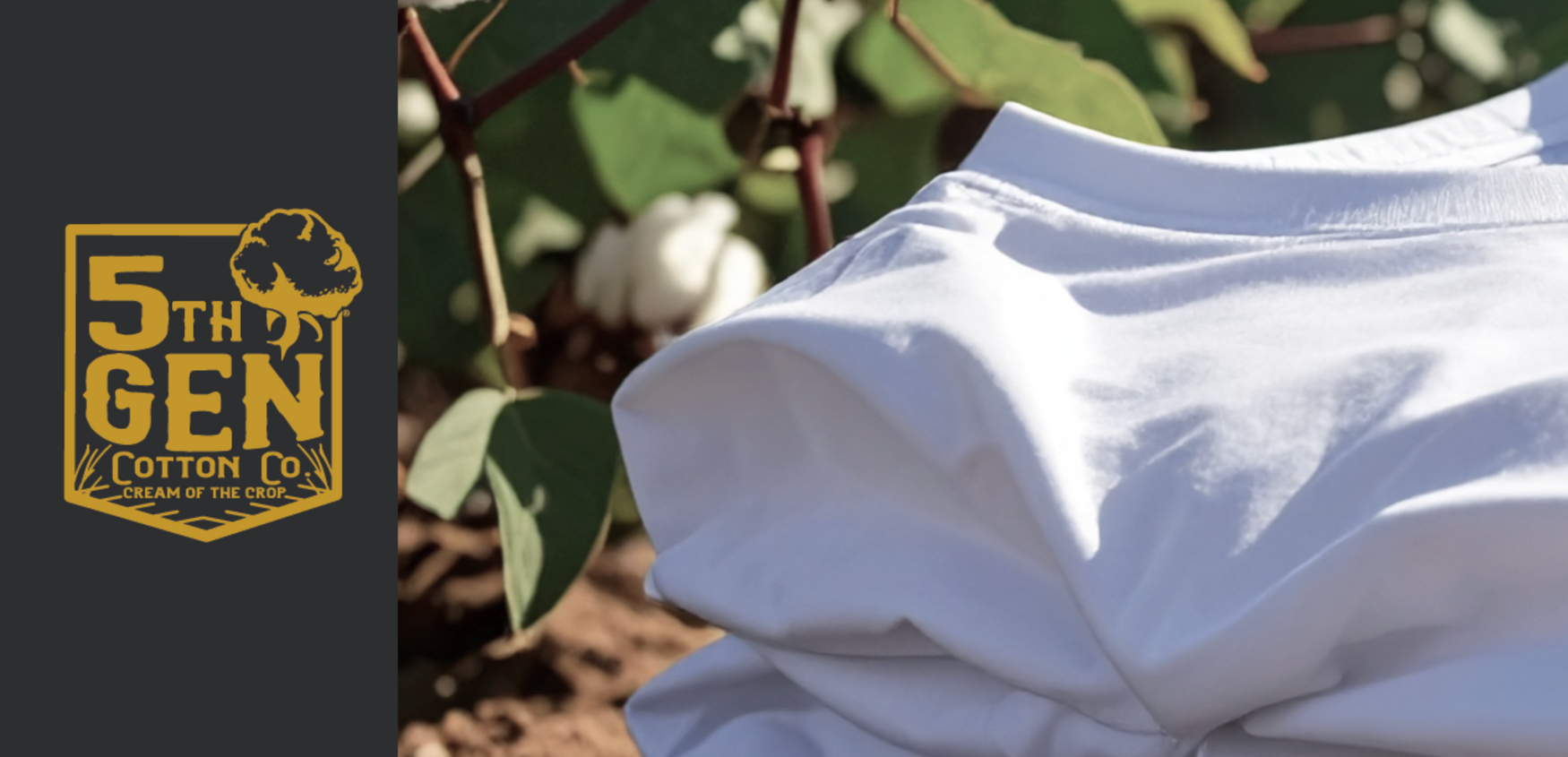 5th Gen Cotton Co